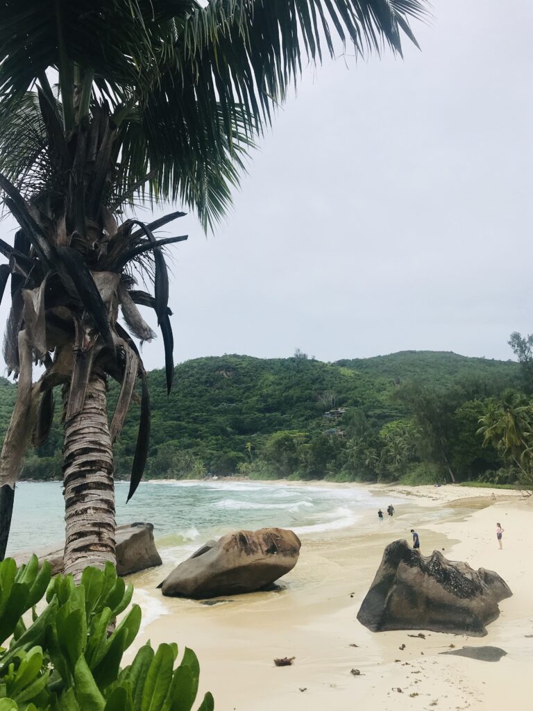 O que fazer em Mahé, a capital de Seychelles - HAJA VIAGEM
